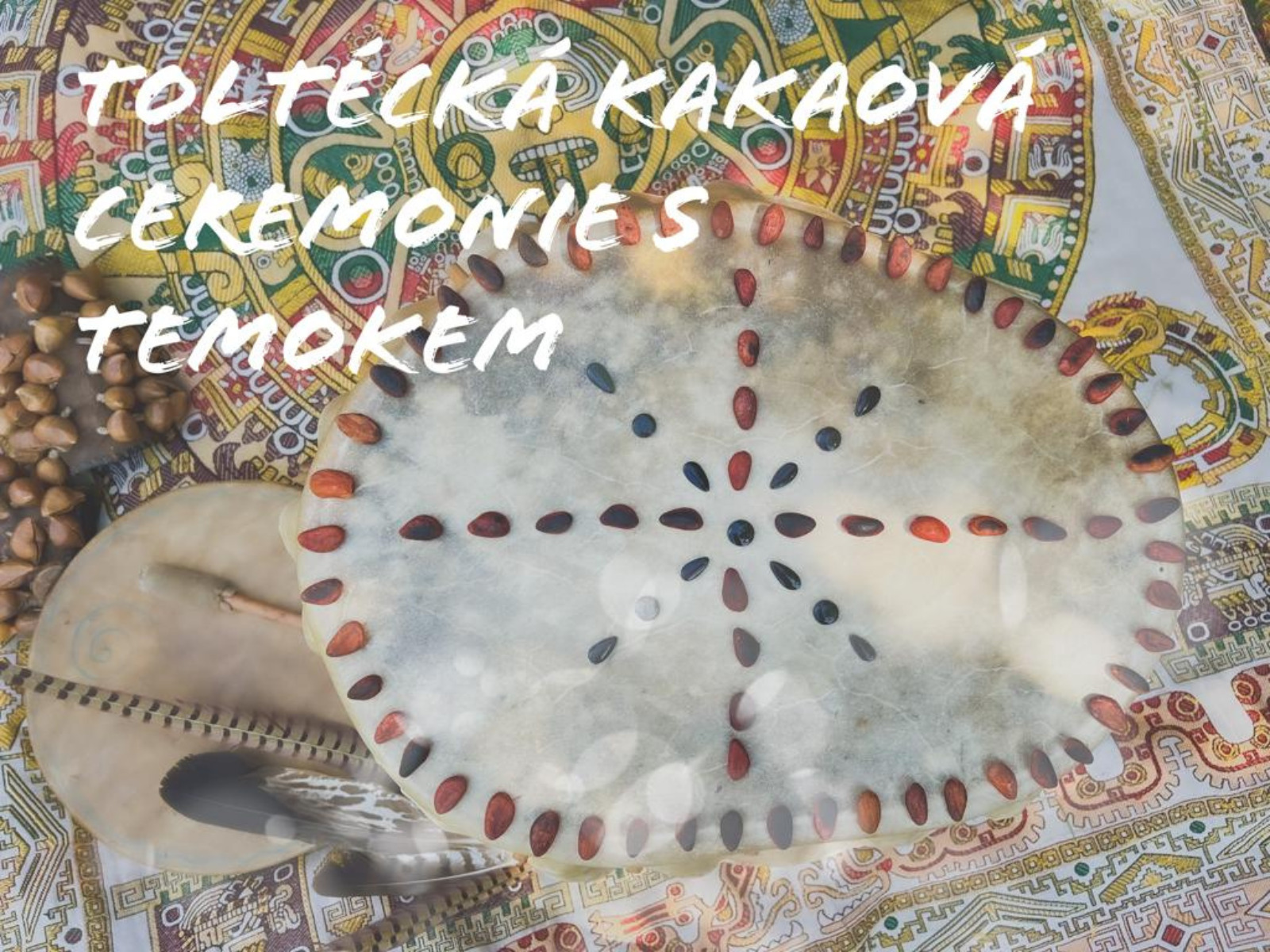 Toltec cocoa ceremony with Temok and talk about syntropic agriculture ...